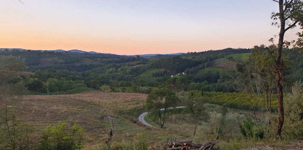 Maria Davey Clinical Psychologist – Individual and Couples Therapy